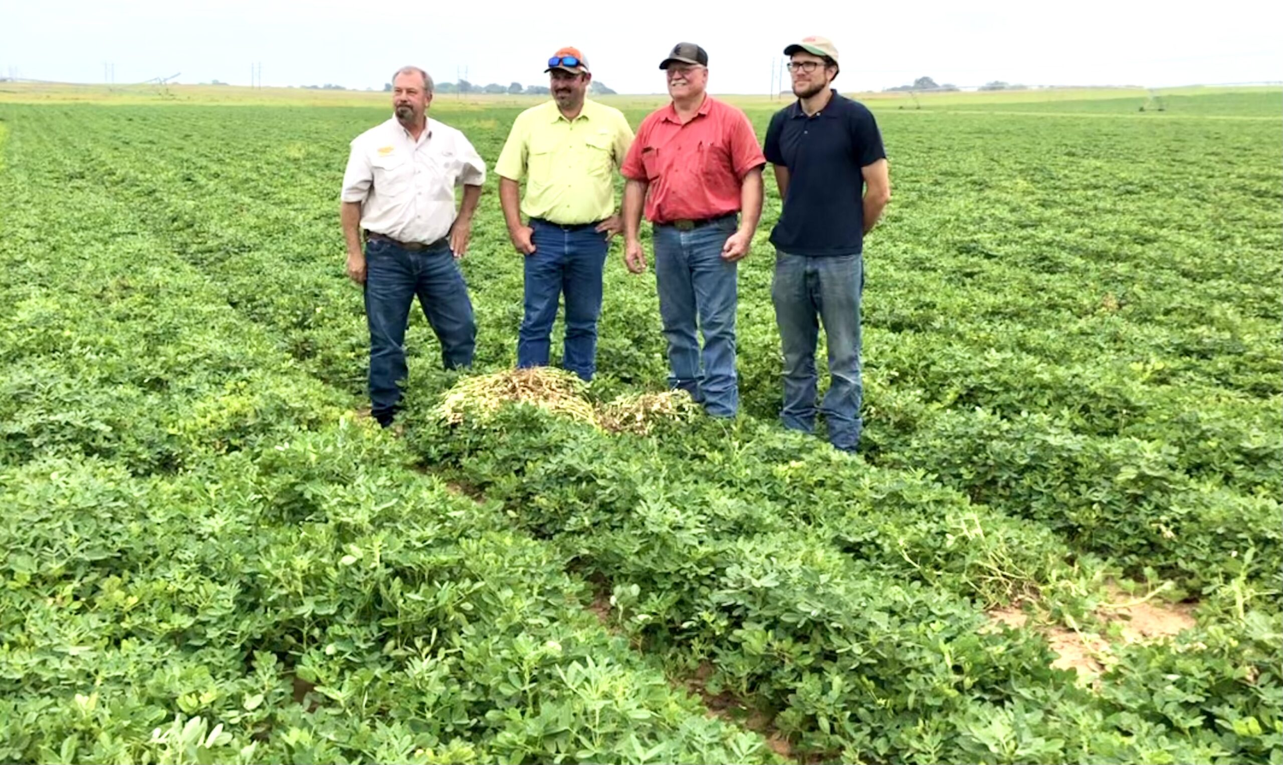 American Grown Peanuts. ONLY. | Crazy Richard's